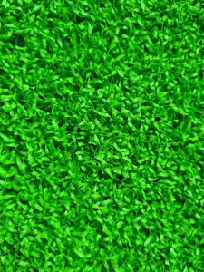 Free Samples - ARTIFICIAL GRASS ONLINE